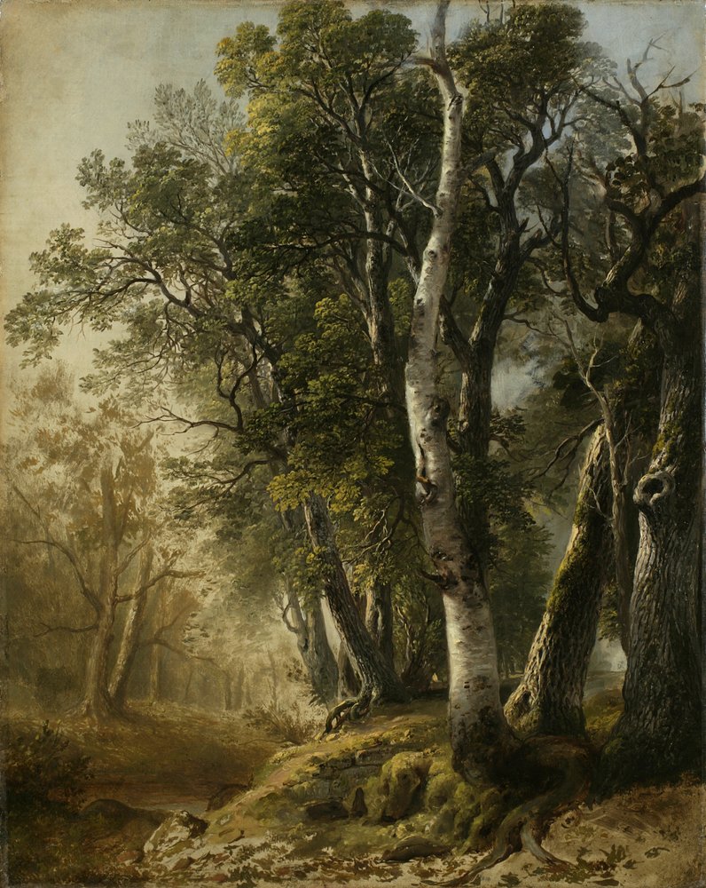 Trees by the Brookside, Kingston, N.Y., 1846